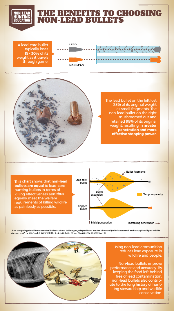 Module 3 Infographic - Non-Lead Hunting Education